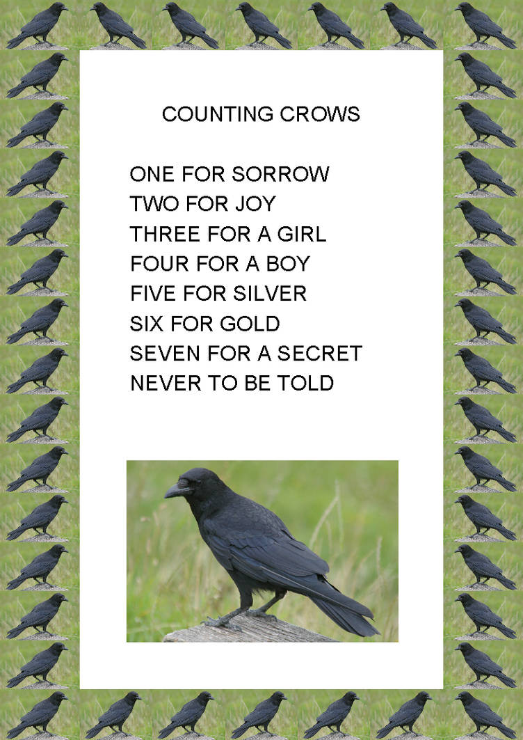 Counting Crows By Rainbowphotos On DeviantArt counting-crows-by-rainbowphotos-on-deviantart
