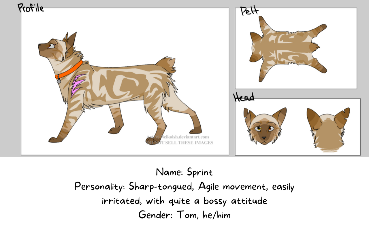 Free Warrior Cat Adopt Closed By Warriorcatfangirl21 On Deviantart