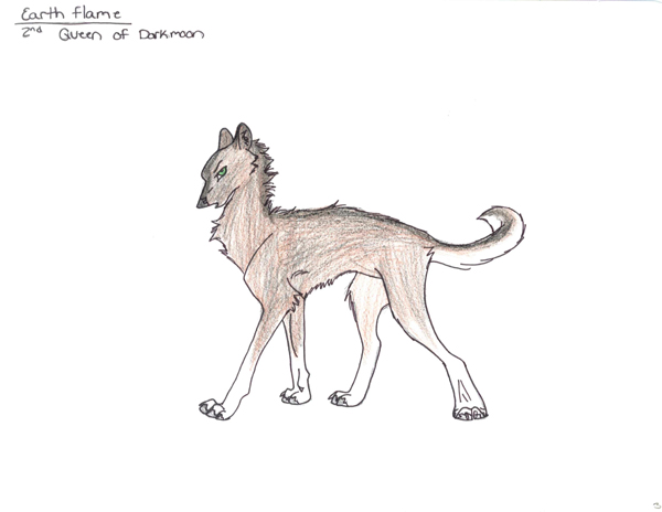 Earth Flame Ref sheet by Nebbzilla on DeviantArt