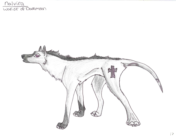 Nalvira Ref sheet by Nebbzilla on DeviantArt