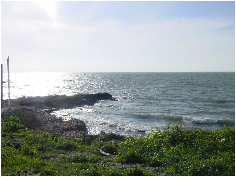 Beach by NarciE on DeviantArt