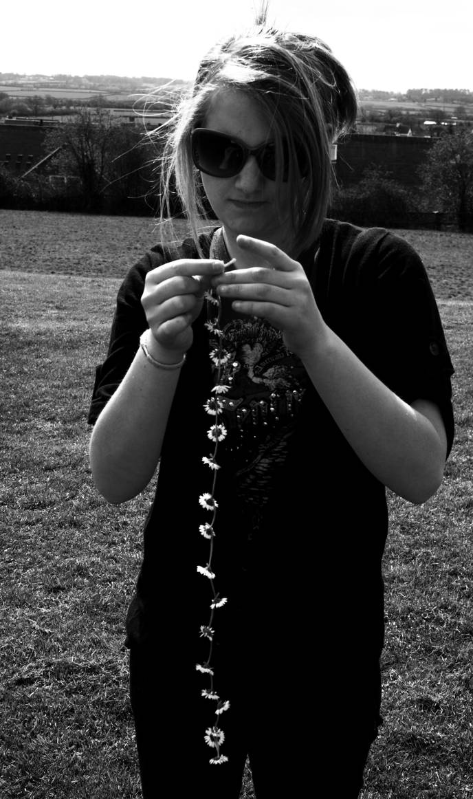 Daisy Chains By Fusspott On Deviantart