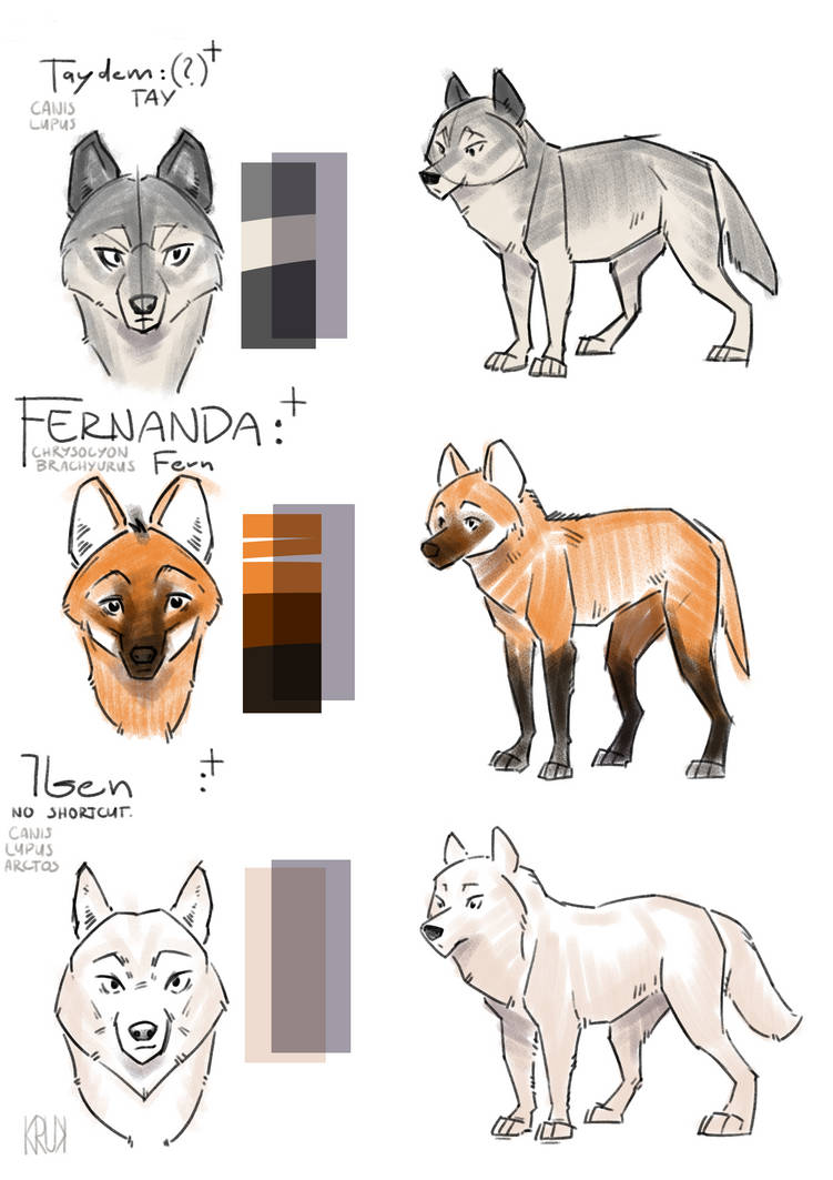 Reference Sheet By Kruk50 On Deviantart