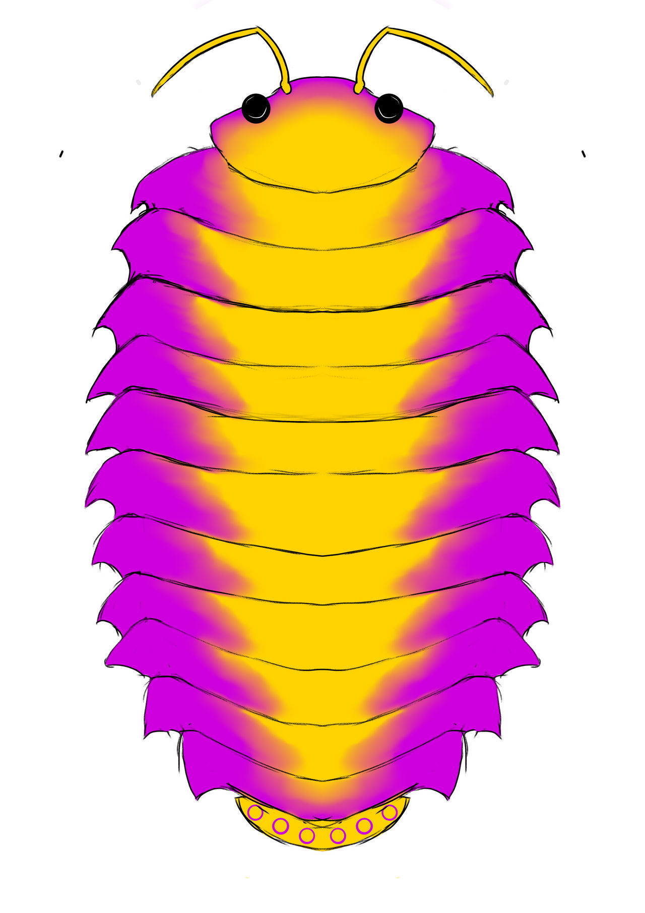 Intersex Isopod By Senjou3tails On Deviantart