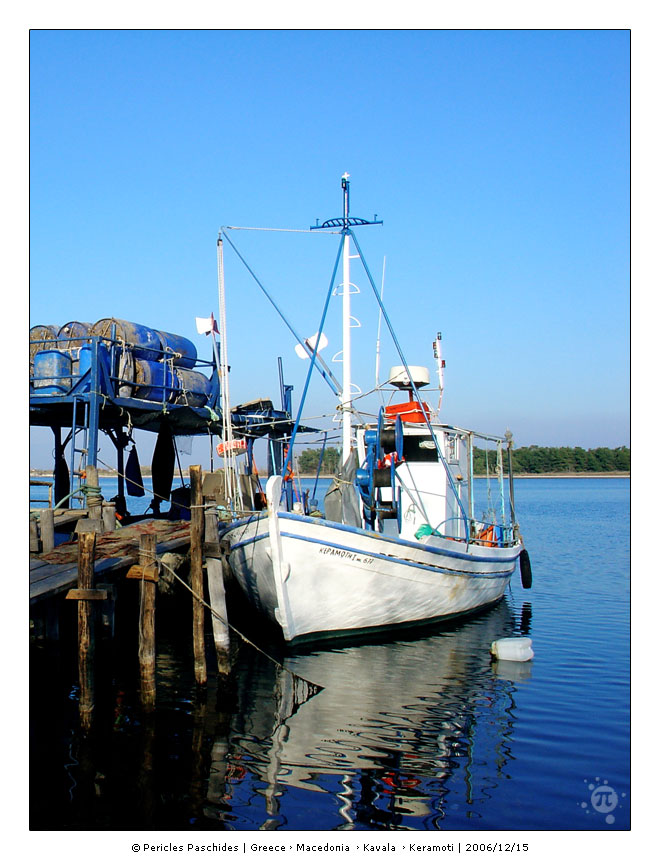 Blue Caique by Pericles on DeviantArt