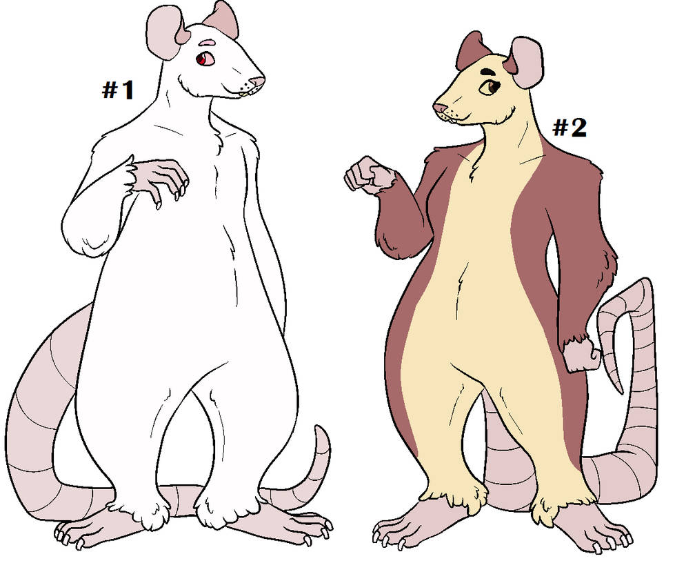 Free Anthro Rats For Sale Closed By Kitty Of Doom524 On Deviantart
