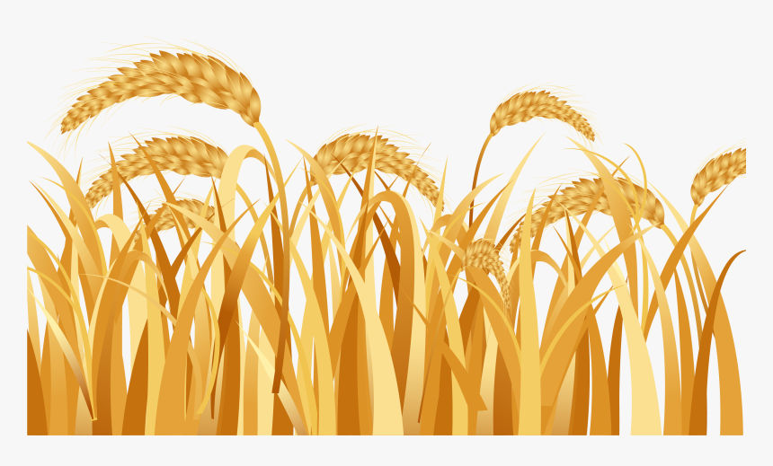 Rice Manufacturers In India By Pansarigroups On DeviantArt rice-manufacturers-in-india-by-pansarigroups-on-deviantart