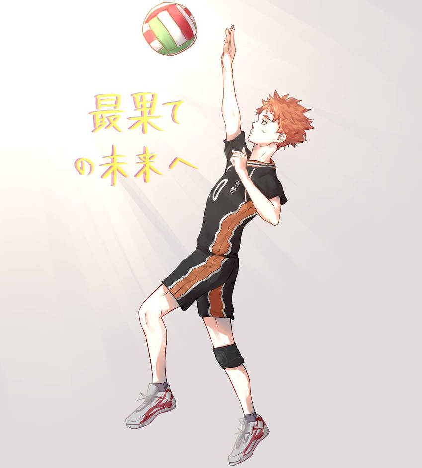 Hinata Shoyo To The Farthest Future By Renalmeow On Deviantart