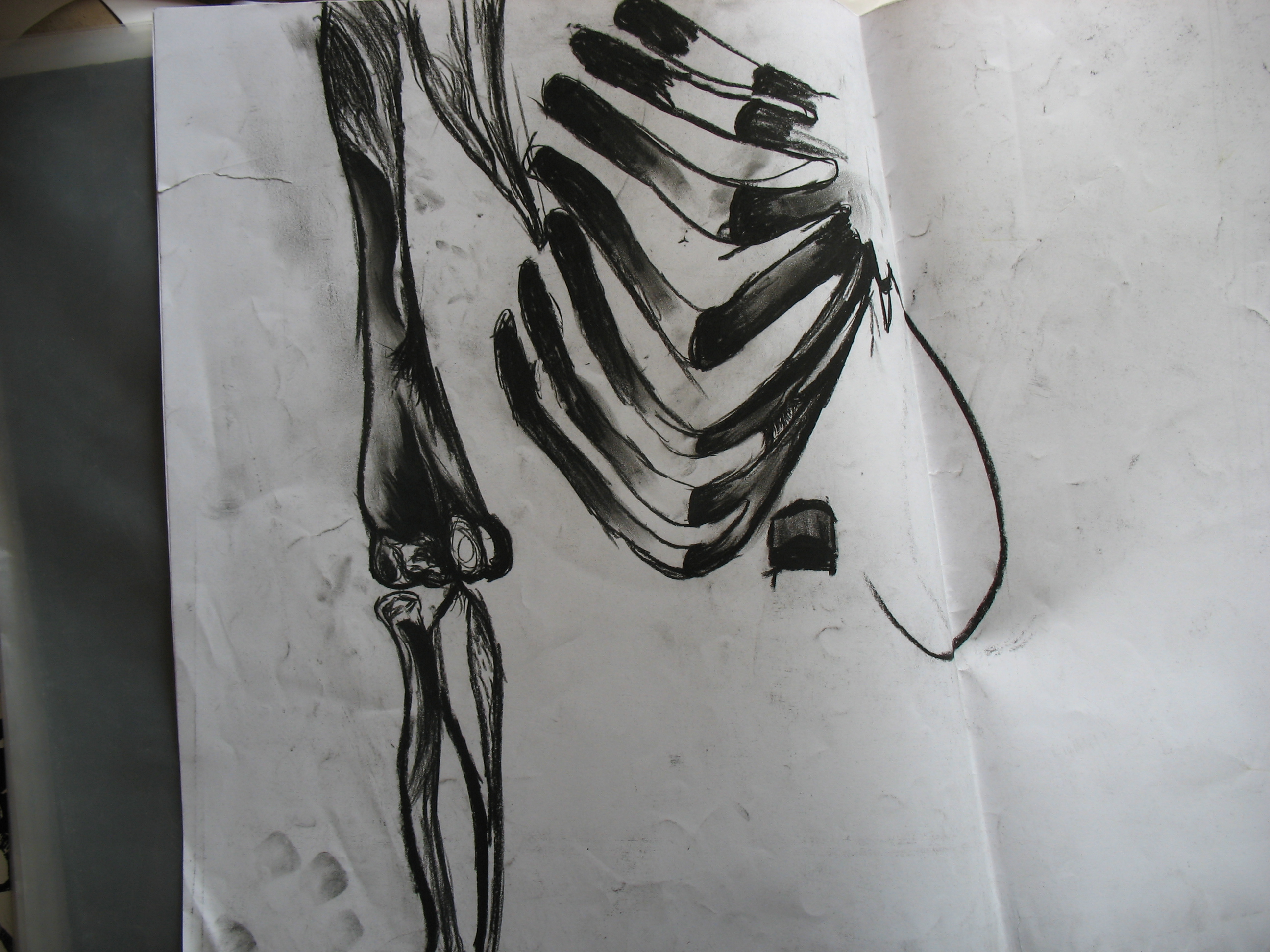 Skelaton by Chuky1 on DeviantArt