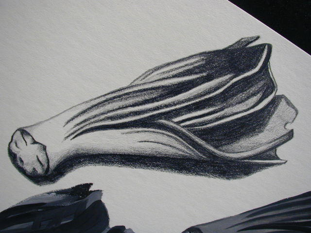 Leek Study 2 by magrittesbowlerhat on DeviantArt