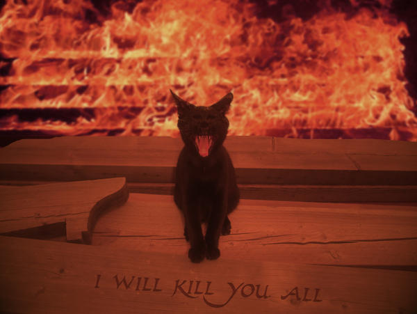 The Evil Cat from Hell by sweetmya on DeviantArt