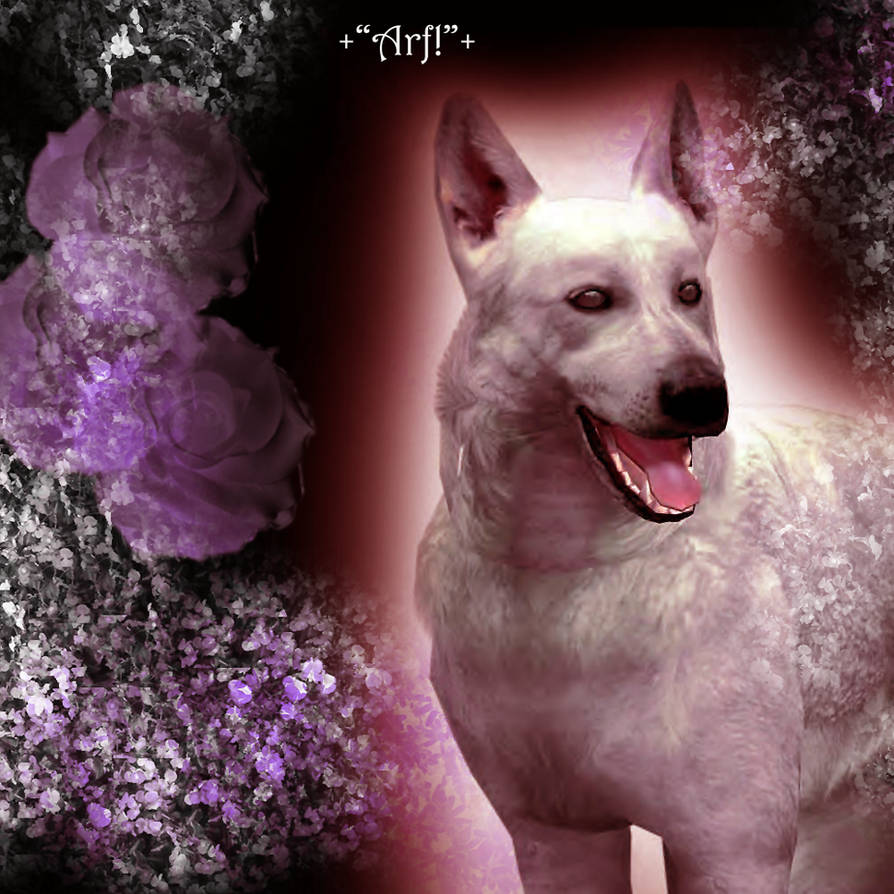 Hewie Wallpaper by demoness on DeviantArt