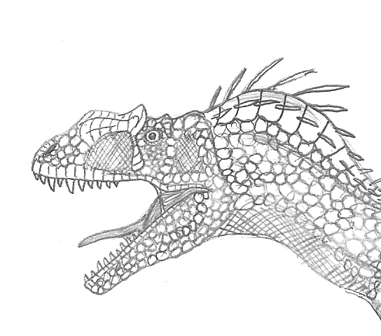 allosaurus head by Son-of-Italy on DeviantArt