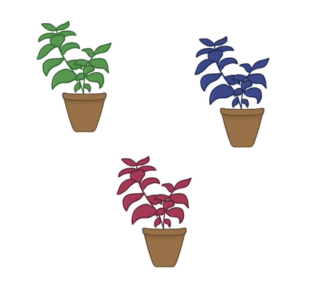 Resident Evil Herbs By CorgiInATie On DeviantArt resident-evil-herbs-by-corgiinatie-on-deviantart