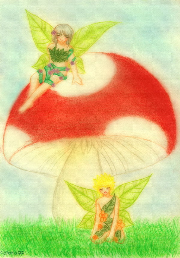 Fairies and Toadstools Entry 5 by Rikuroku on DeviantArt