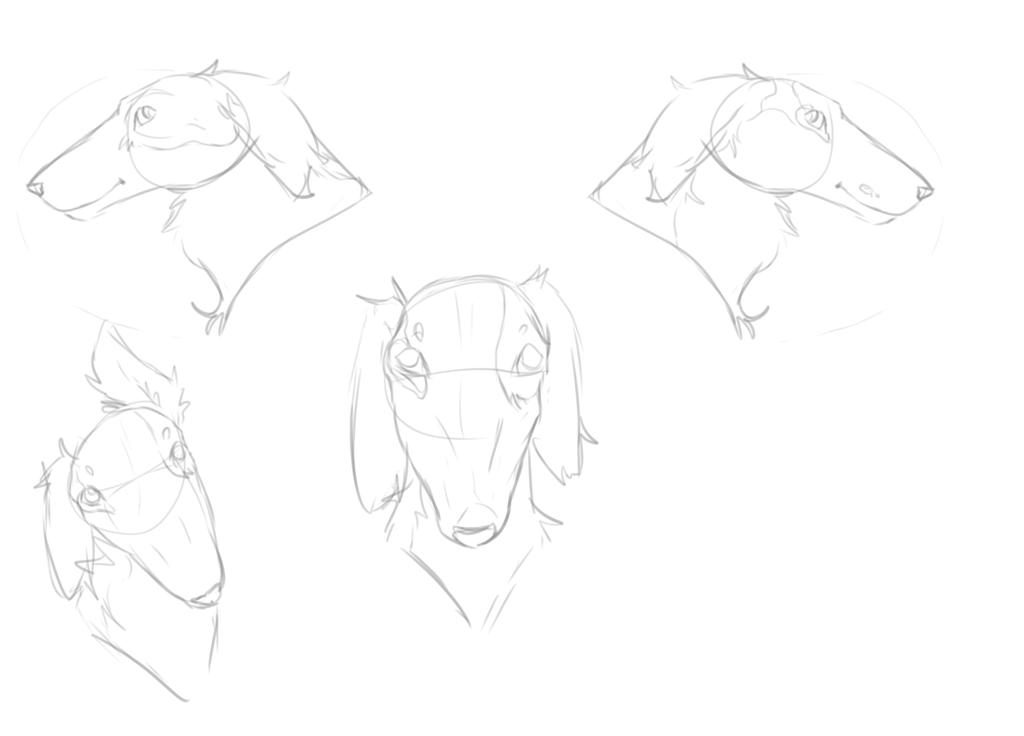 Chloe Sketch Headshots By Doe Eyed Dragon On Deviantart