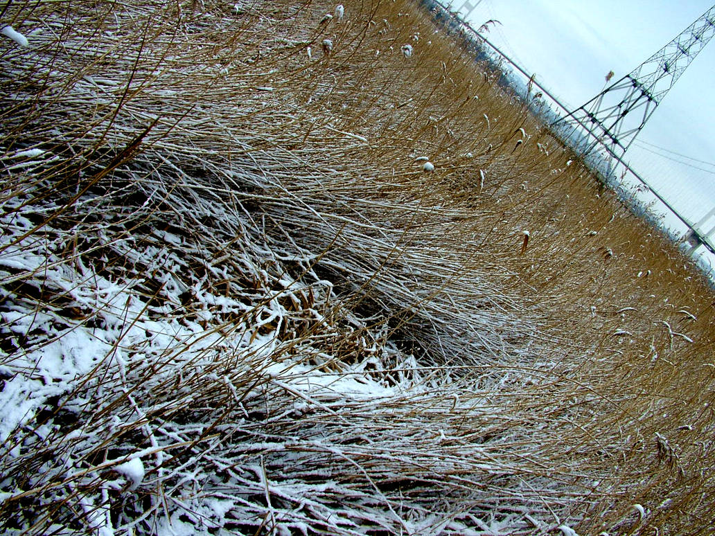 Ugly Beach - Snow? by Sophabelle on DeviantArt