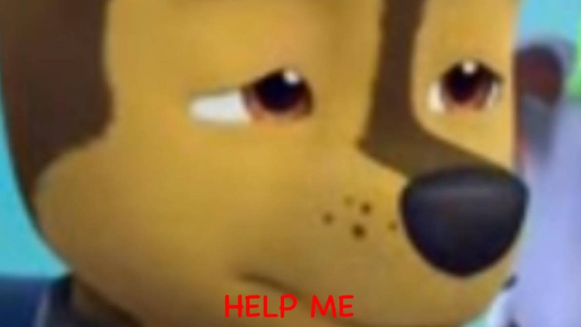 Paw Patrol Meme By Dttf1225 On Deviantart
