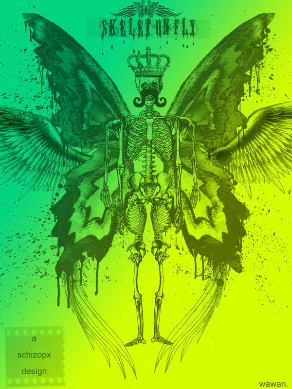 skeletonfly by schizopx on DeviantArt