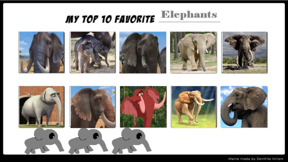 My Top 10 Favorite Elephants by Stegodonboi on DeviantArt My Top 10 Favorite Elephants by Stegodonboi on DeviantArt