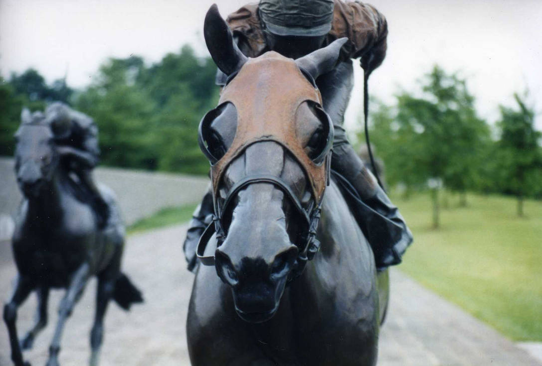 the racehorse by L-P on DeviantArt