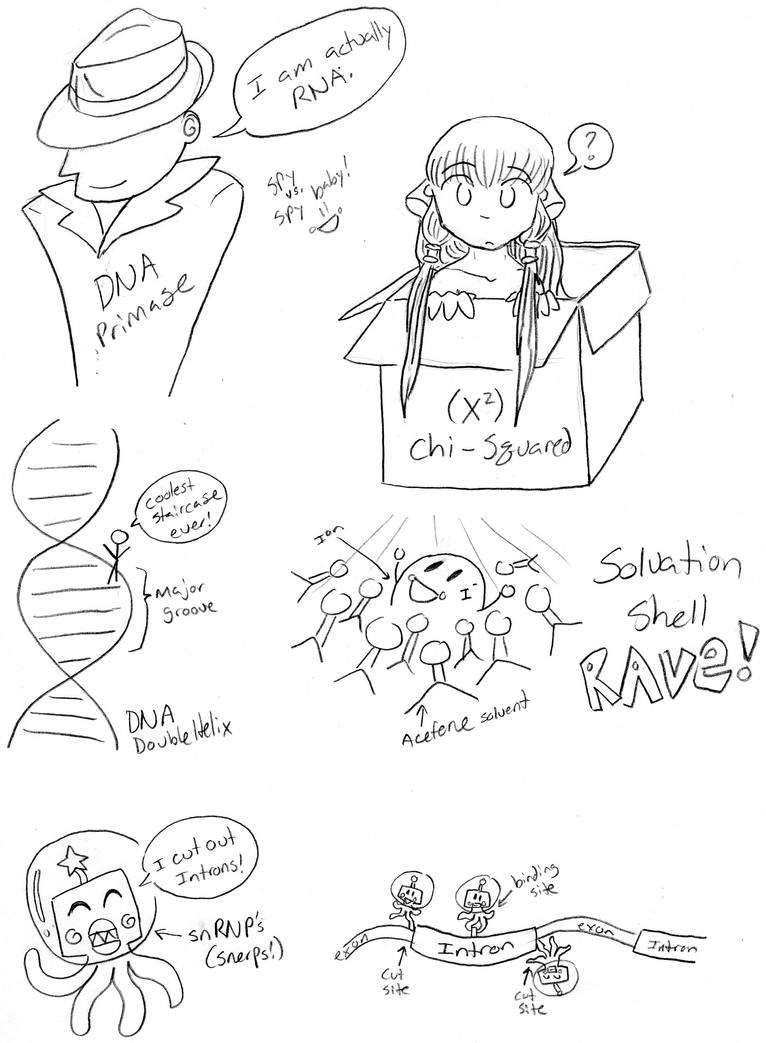 Scientific Nonsense Dna Solvation And Snerps By Photosynthesis Cat On Deviantart
