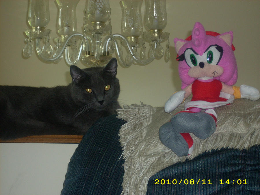 Amy And Shadow By Sonamyfan1993 On Deviantart