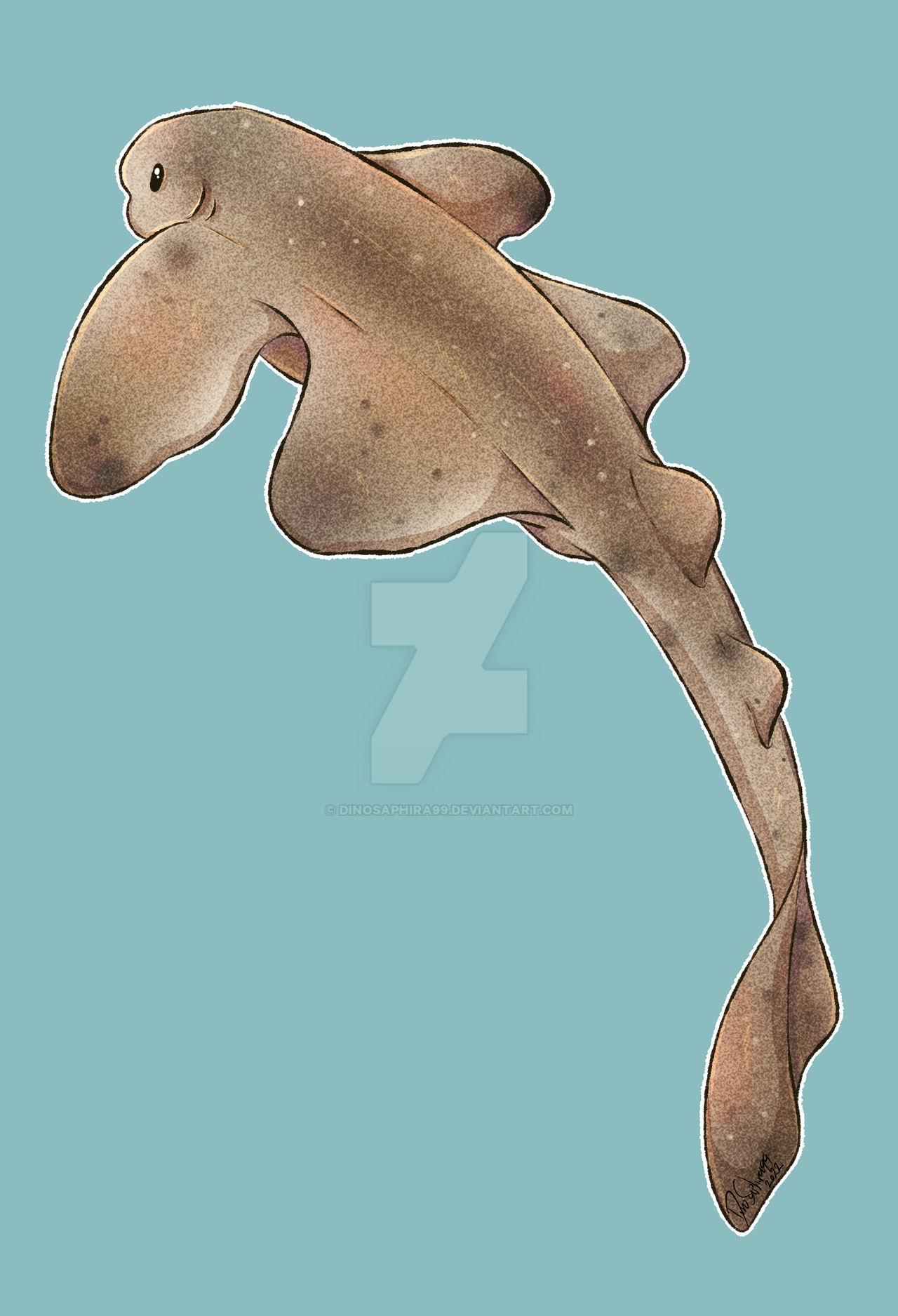 Sharktober Day 2 Angel Shark By Dinosaphira99 On Deviantart