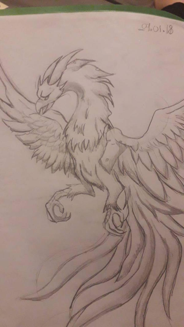 Phnix By Shadow34xd On Deviantart
