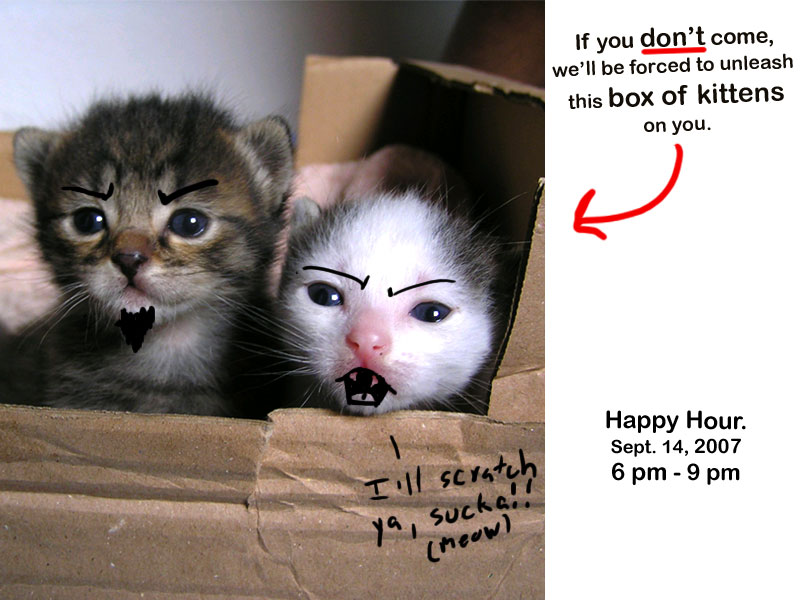 Happy Thursday Kitten