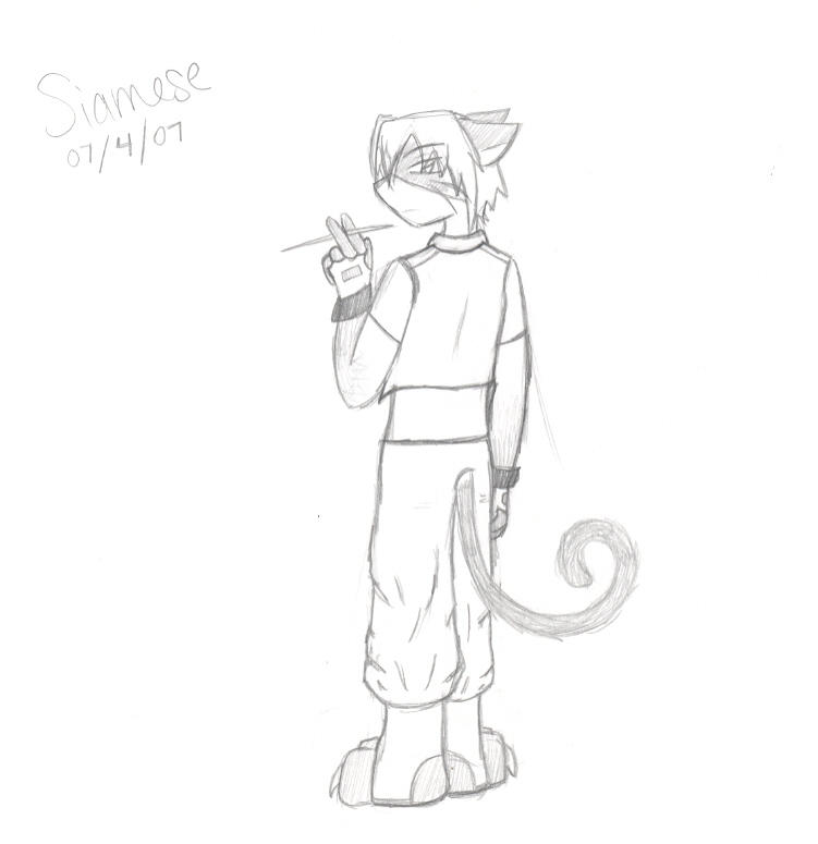 Siamese Ninja by Chetafox on DeviantArt