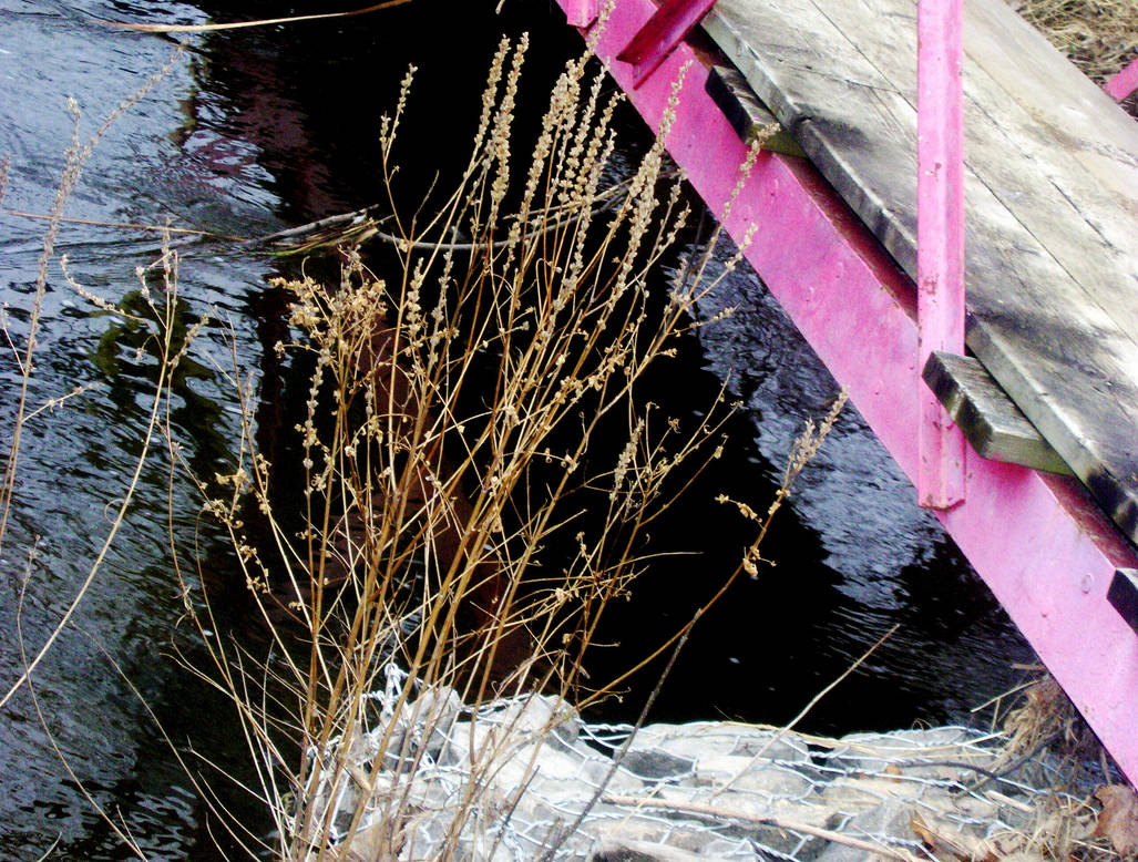 A Painted Bridge by bRokEn-miNd on DeviantArt