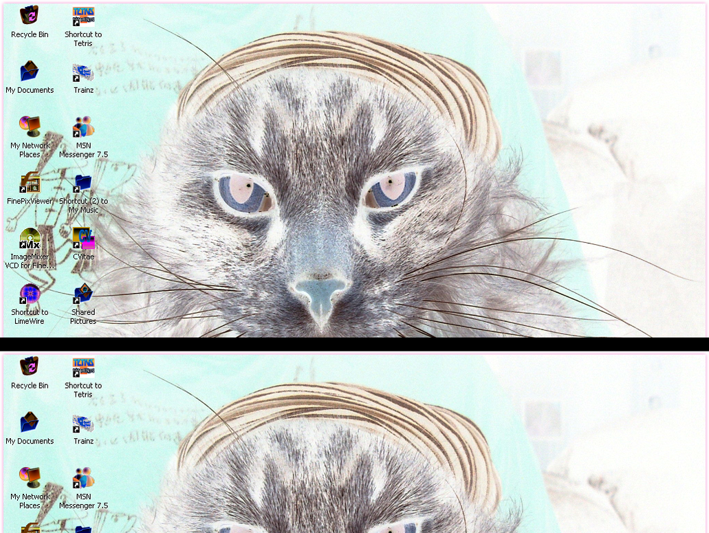 inverted kitty by Tina300 on DeviantArt