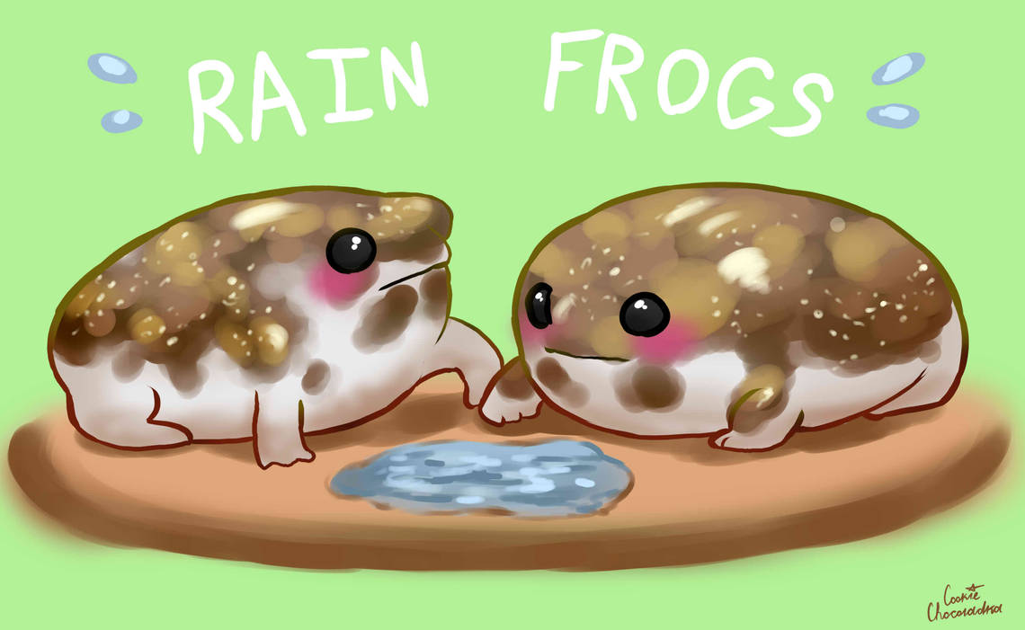 Rain Frogs By Cookie Chocoladka On Deviantart