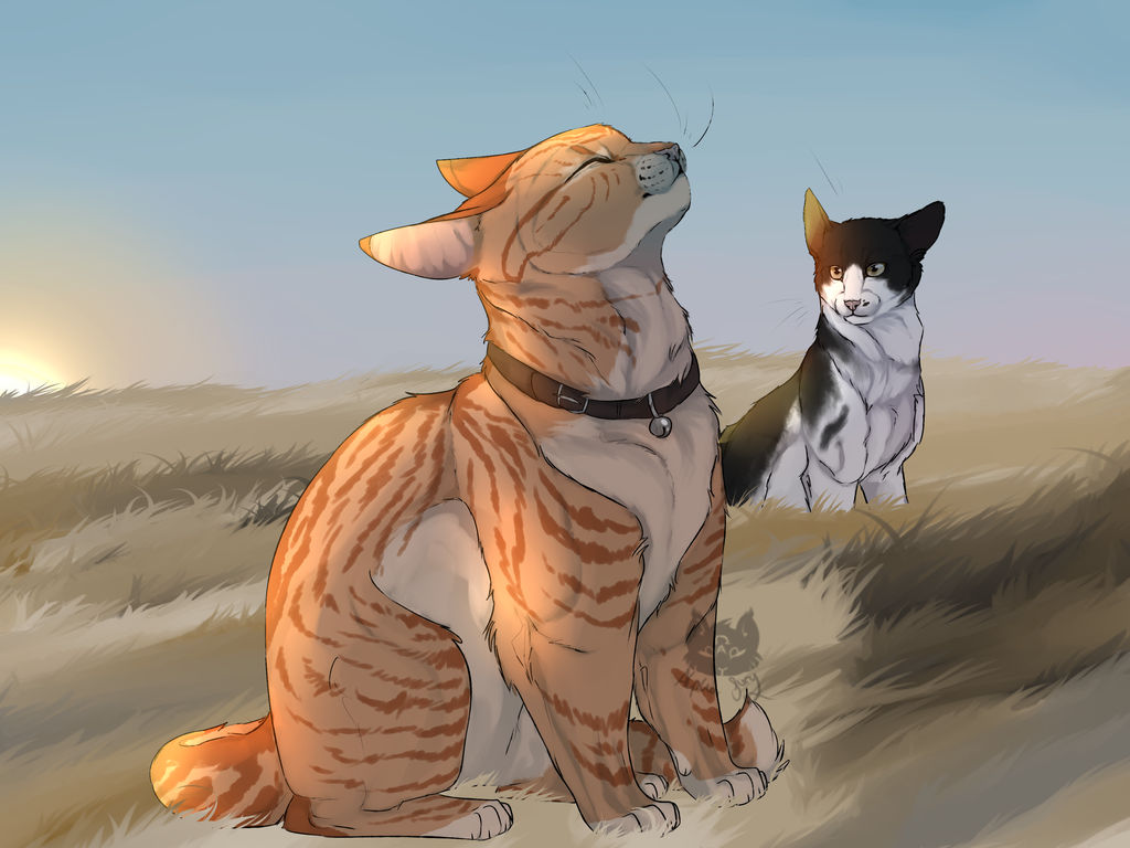 Jake And Talltail By Alphafury On Deviantart