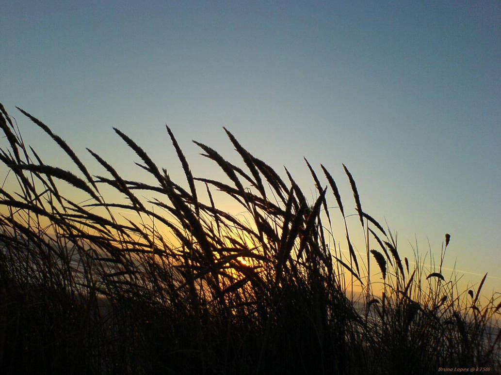 almost sunset by Quimir on DeviantArt