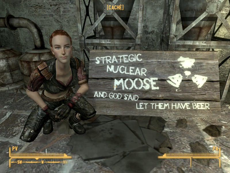 Rose Of Sharon Cassidy Fallout New Vegas By Missge On Deviantart