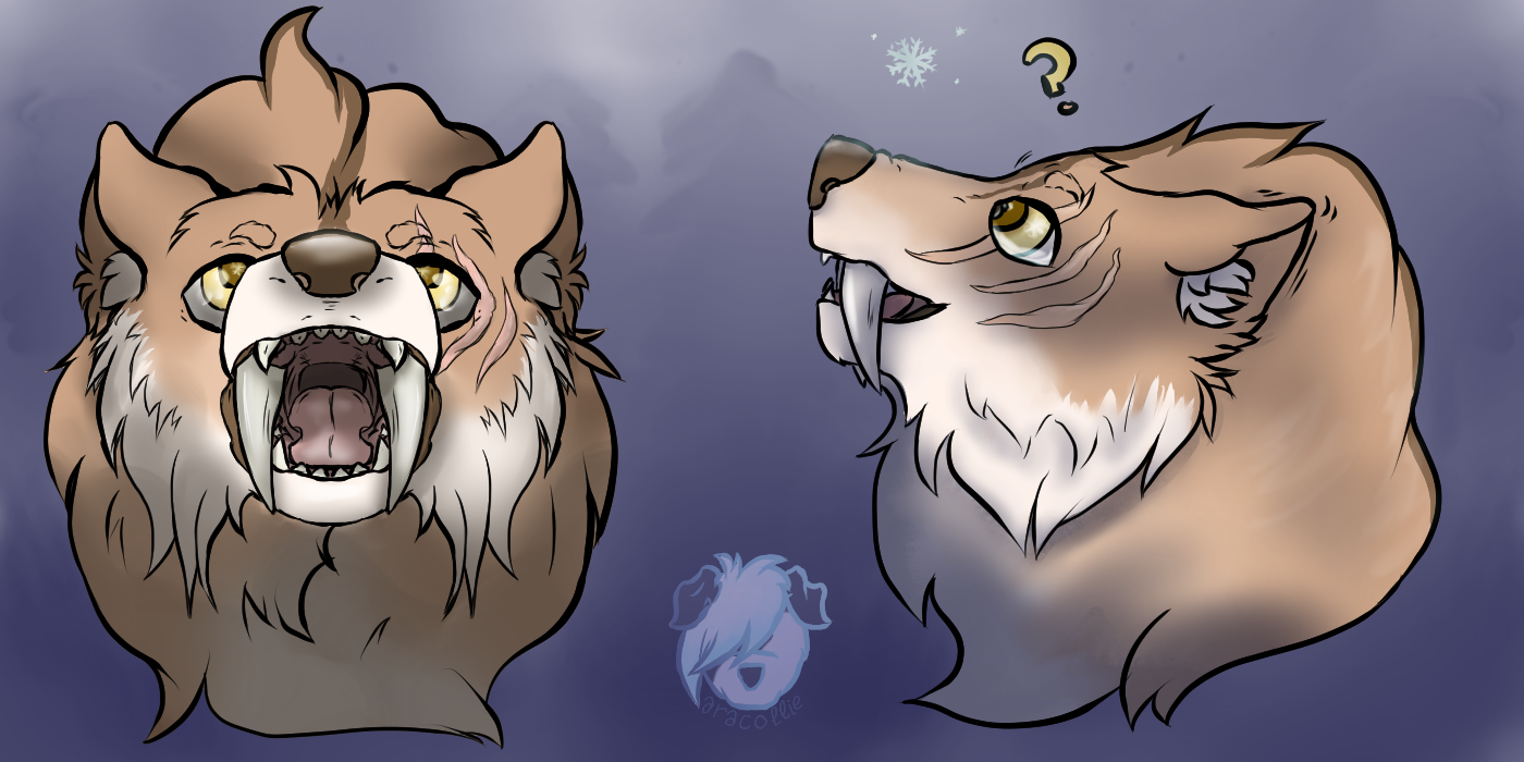 Kiba Headshots C By Aracollie On Deviantart