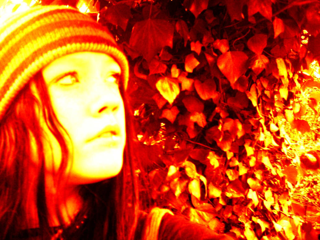 Firelight By Metamorphic Emotions On Deviantart