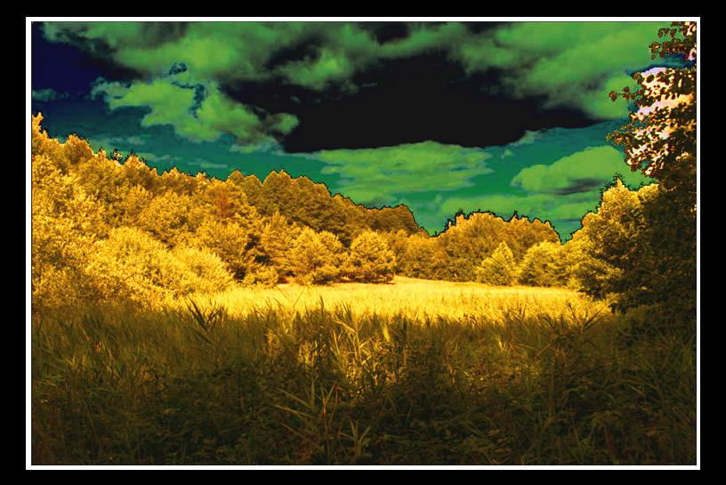 YELLOW by agif-aisa on DeviantArt