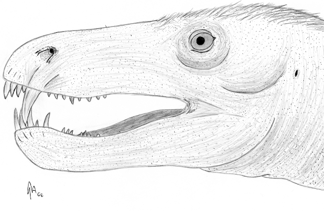 Syodon biarmicum by Khaan on DeviantArt
