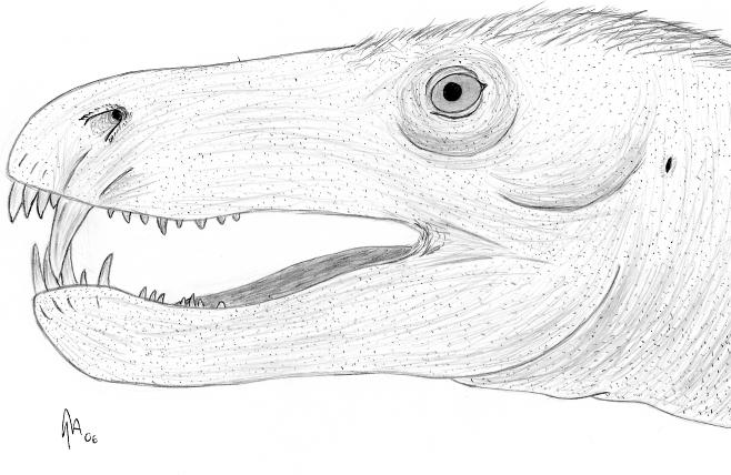 Syodon biarmicum by Khaan on DeviantArt
