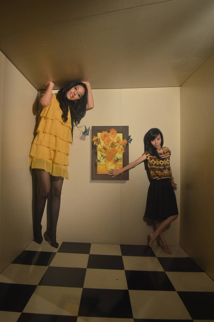 Ames Room 1 By Sheikthegeek On Deviantart