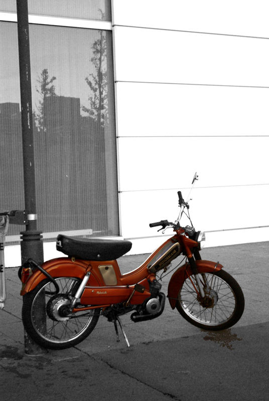 orange mob by ranchotographe on DeviantArt