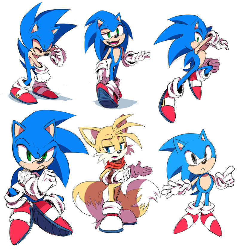 05 By Shira Hedgie On Deviantart