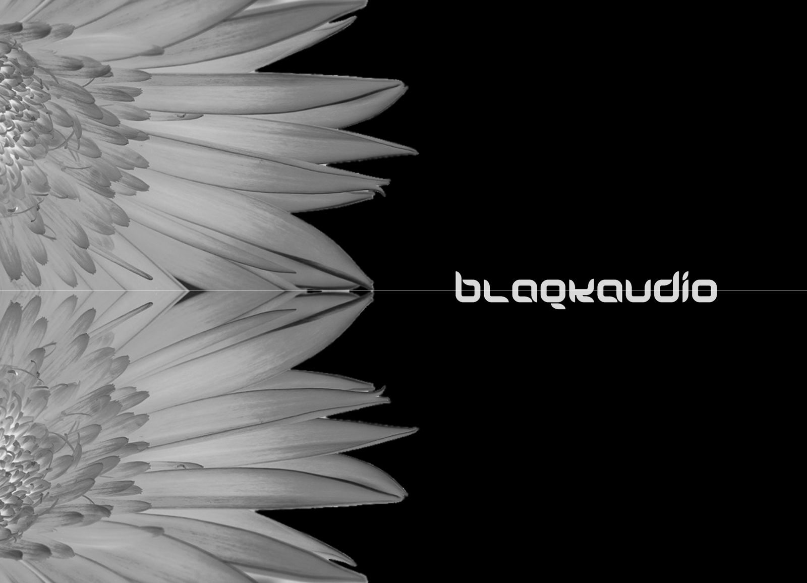 Blaqk Audio Poster Contest by TheNotoriousDek11 on DeviantArt