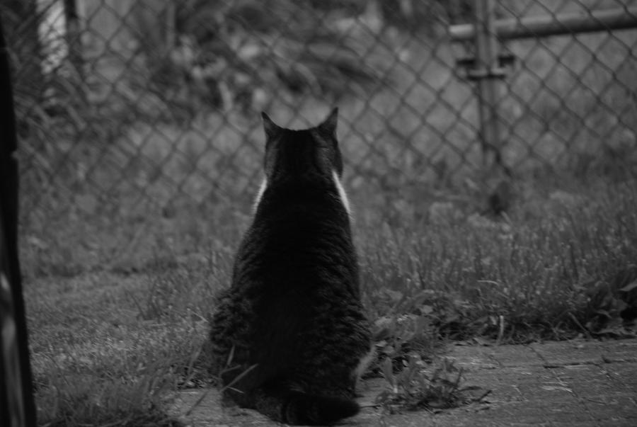 Don t Turn Your Back On Me By McFlavin22 On DeviantArt don-t-turn-your-back-on-me-by-mcflavin22-on-deviantart