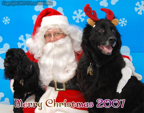 Merry Christmas 2007 by quicksilverstudios on DeviantArt