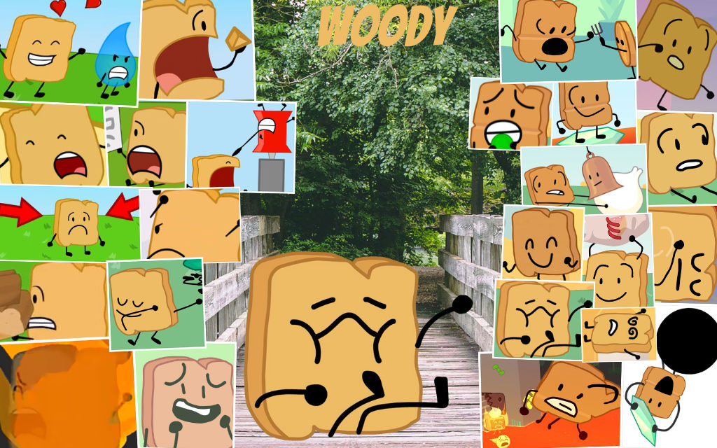 Bfdi Pix Wallpaper Woody By Xtreme Man On Deviantart