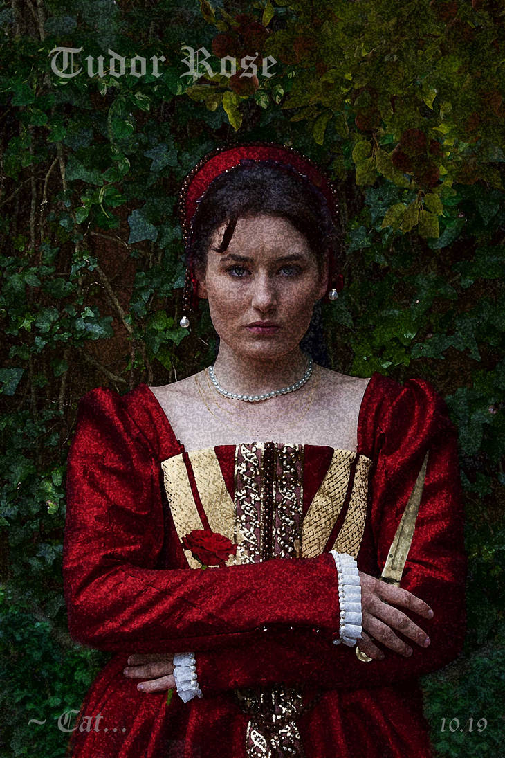 Tudor Rose By Can Cat On Deviantart